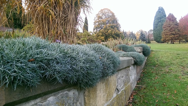 How to Choose the Right Garden Edging for Your Outdoor Space | Houzz NZ