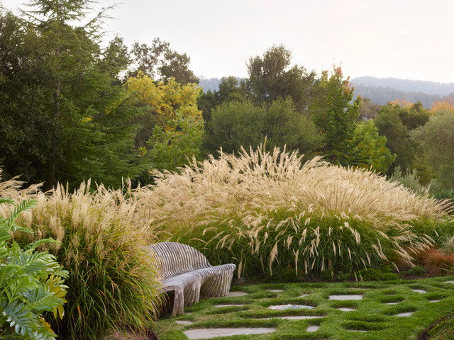 Sognate una Prateria Selvaggia? Piantate delle Graminacee Dietro Casa