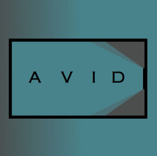 AVID AUDIO VISUAL INSTALLATION & DESIGN - Project Photos & Reviews ...