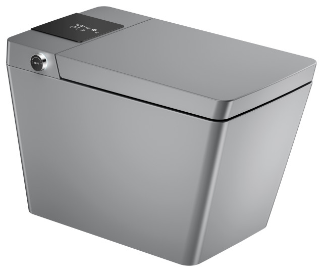 Smart Bidet Toilet with Siphon Jet Flush, Remote Control/ Side Control ...