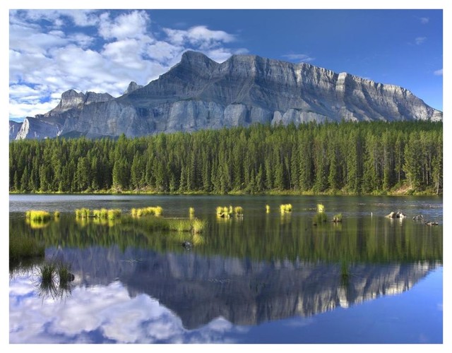 "Mount Rundle and boreal forest, Johnson Lake, Banff NP" Paper Art, 18 ...