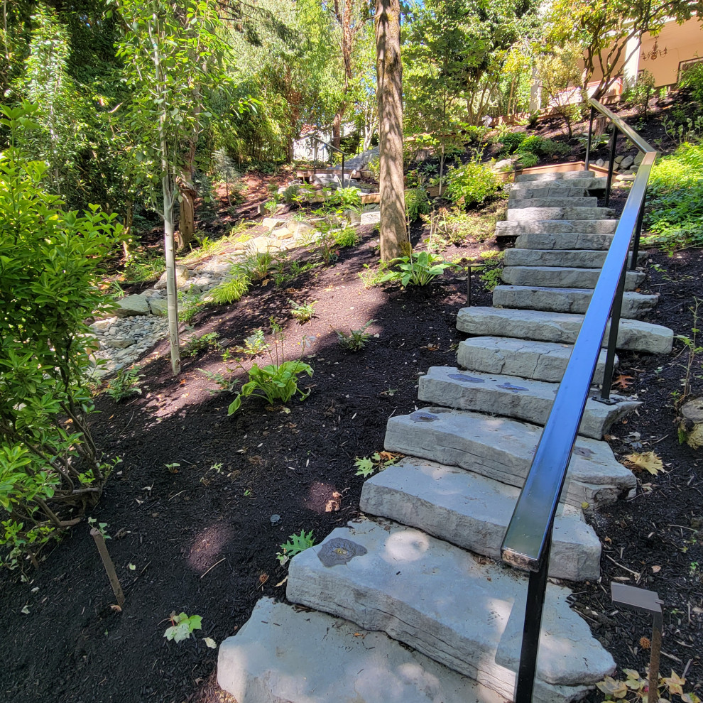 Scenic Descent: A Safe and Stunning Lakeside Path - Rustic - Landscape ...