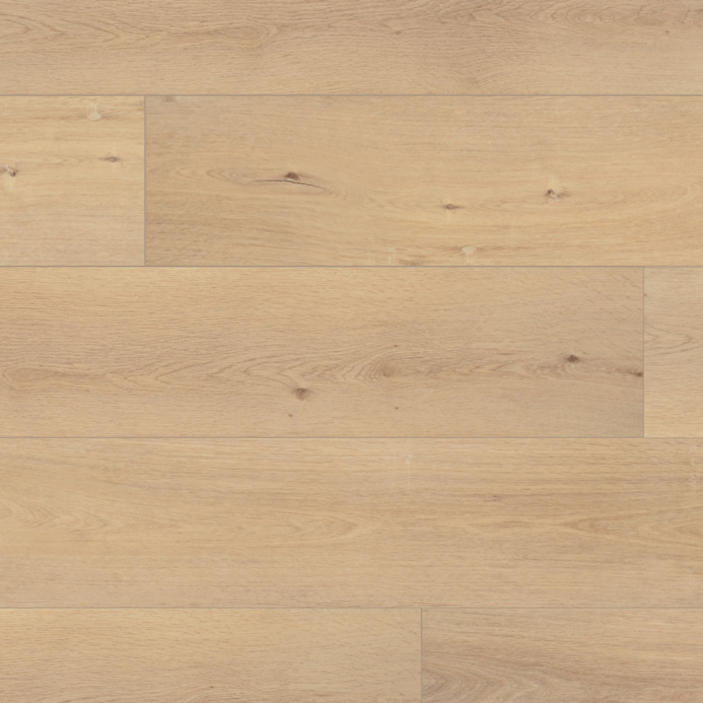 COREtec PRO Plus HD 9" Ravenwood Oak VV488-2091A SPC Vinyl Flooring ...
