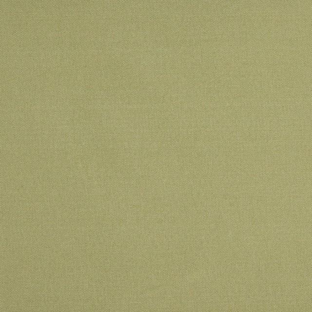 Green Performance Canvas Upholstery Fabric by the Yard, By The Yard 54 ...