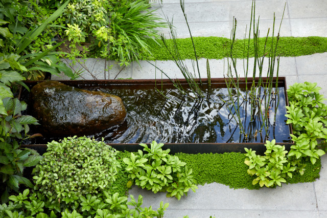 14 Water Features From Small Gardens in the UK & USA | Houzz NZ