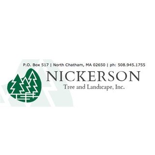 NICKERSON TREE AND LANDSCAPE - Project Photos & Reviews - North Chatham ...