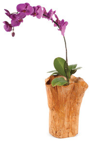 CORE ROOT CRAFTS - Project Photos & Reviews - New York, NY US | Houzz