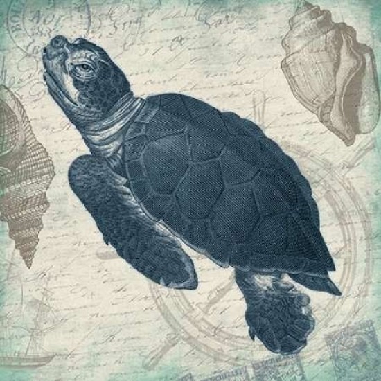 Turtle Poster Print by Jace Grey - Item # VARPDXJGSQ359A, 12 x 12 ...