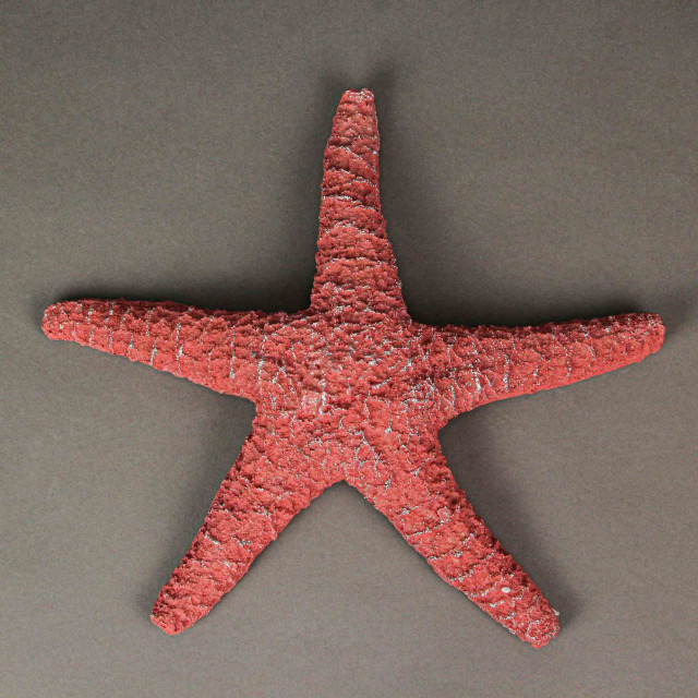 Set of 3 Resin Starfish Wall Hanging Sculptures Coastal Home Decor ...