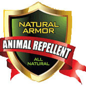 NATURAL ARMOR LLC - Project Photos & Reviews - Jupiter, FL US | Houzz