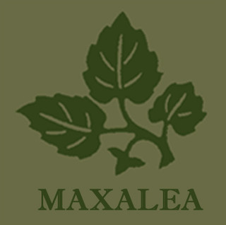 MAXALEA INC. - Project Photos & Reviews - Baltimore, MD US | Houzz