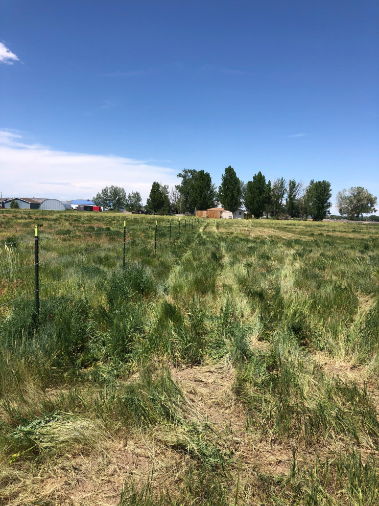 Laurel Horse Corral - Exterior - Other - by H & H Fence | Houzz