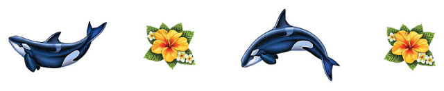 Orca Step Markers Porcelain Pool Mosaic ( 3" X 24" ), 3" X 24" - Beach ...