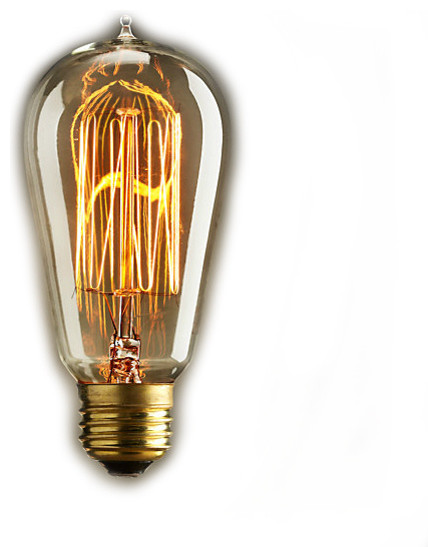 Edison Style, Vintage Antique 40 Watt Light Bulb, 4.95" Length ...