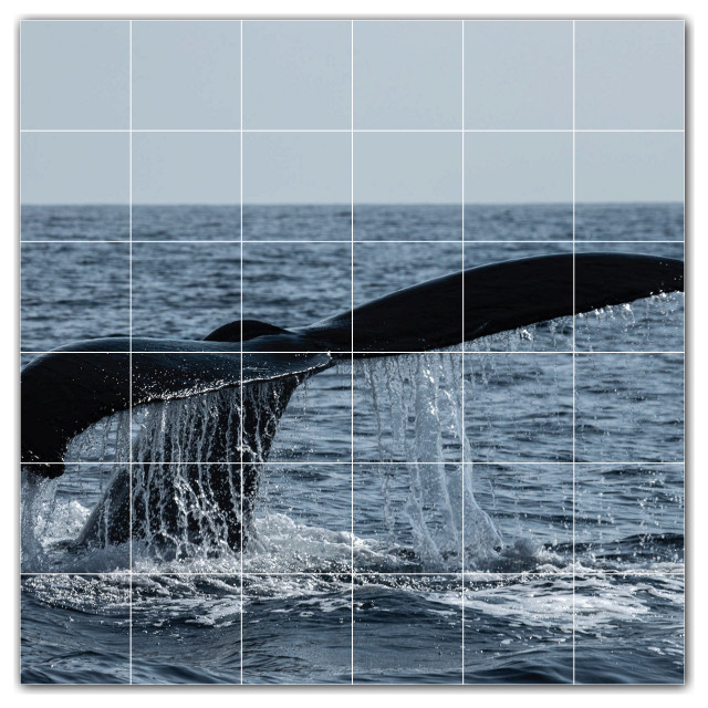 Whale Ceramic Tile Wall Mural HZ501193, 48" Wide x 48" High - Beach ...