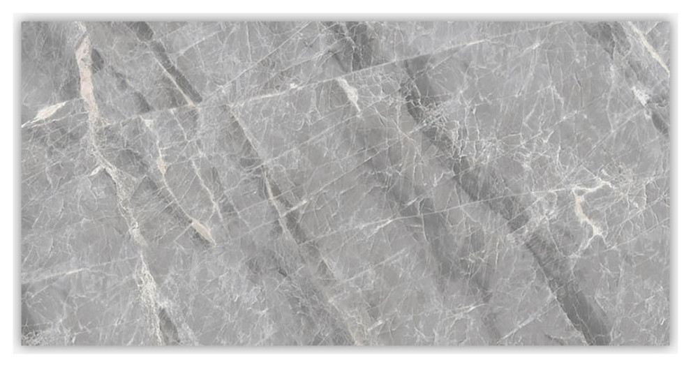 Nambia Grey Polished 12x24 Porcelain Tile, 12x24 - Contemporary - Wall ...