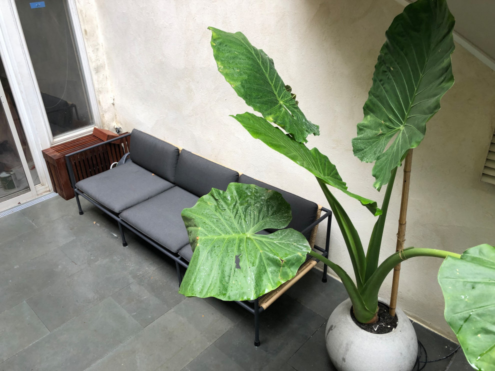 Split Level Condo Garden Renovation - Modern - Garden - Toronto - by ...