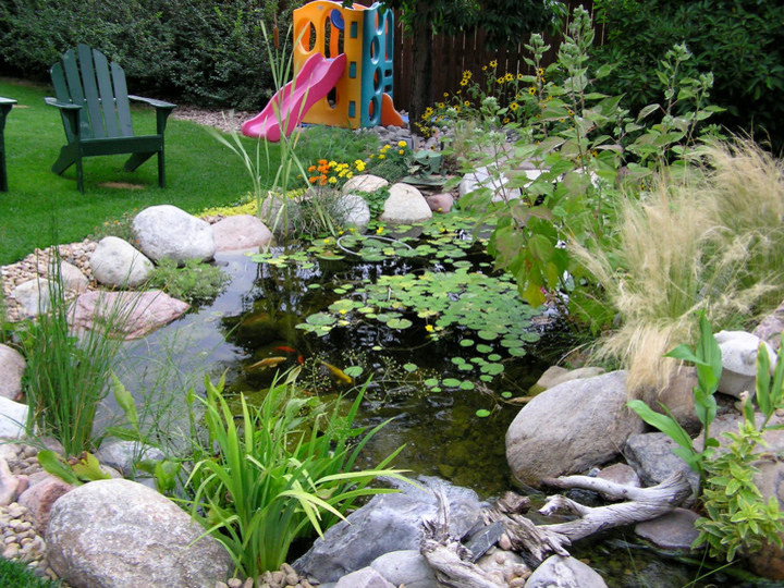 Ponds and waterfalls - Traditional - Garden - Denver - by Rocky ...