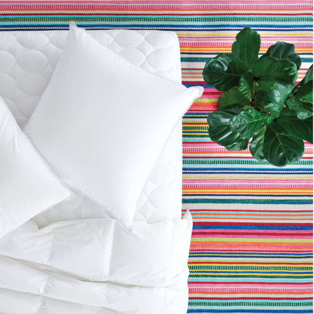 Bright Stripe Indoor/Outdoor Rug, 2'x3' - Contemporary - Outdoor Rugs ...