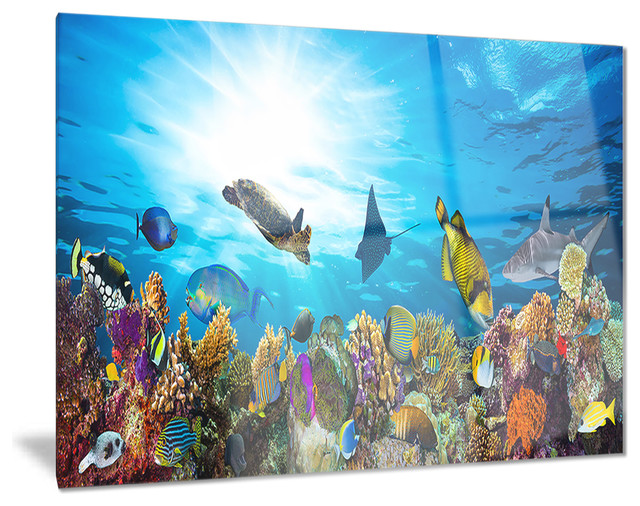 "Colorful Coral Reef With Fishes" Photo Metal Art, 28"x12" - Beach ...