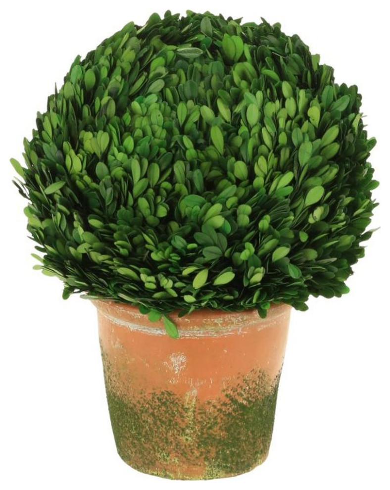 Mark Roberts 2020 Boxwood Topiary Ball, 15" - Contemporary - Artificial ...