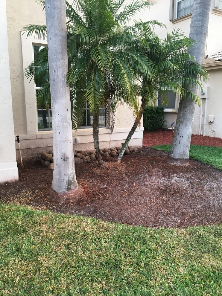 Front of house landscape advice in South Florida Zone 10b | Houzz Forum