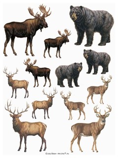 Wildlife 2-Sheet IdeaStix Accents Peel and Stick - Rustic - Wall Decals ...