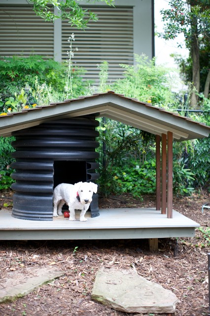 How to Help Your Dog Be a Good Neighbor