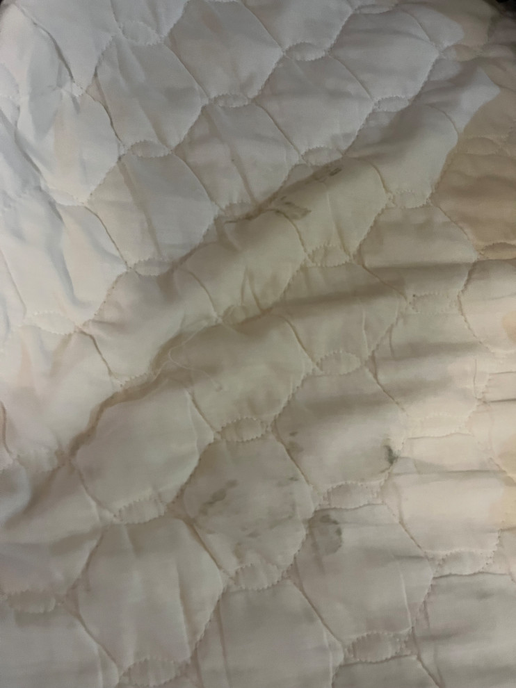 How To Remove Mold/Mildew From Mattress Protector? | Houzz Forum