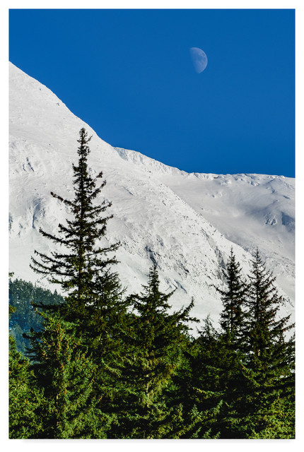 Brenda Petrella Photography Llc 'Bluebird Moon' Canvas Art, 22"x32", 22 ...