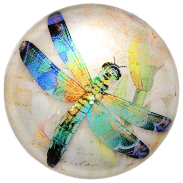 Dragonfly Glass Paperweights - Contemporary - Decorative Objects And ...