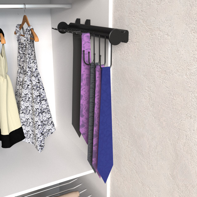 Pull Out Belt & Tie Rack Black, Set of 1 - Closet Organizers - by DEPOT ...