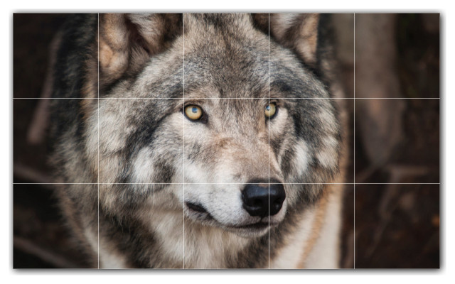 Wolf Ceramic Tile Wall Mural HZ501241, 60" Wide x 36" High - Rustic ...