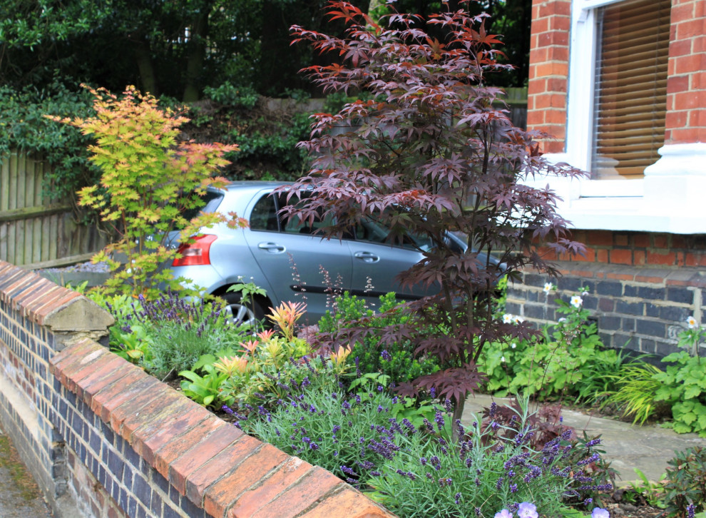 Small Front Garden: Simple Planting - Contemporary - London - by Peter ...