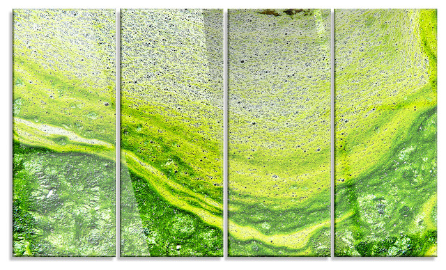 "Polluted Water With Algae in Green" Metal Wall Art, 48"x28 ...