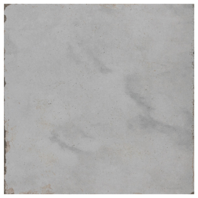 Renaissance Blanco Porcelain Floor and Wall Tile - Farmhouse - Wall And ...