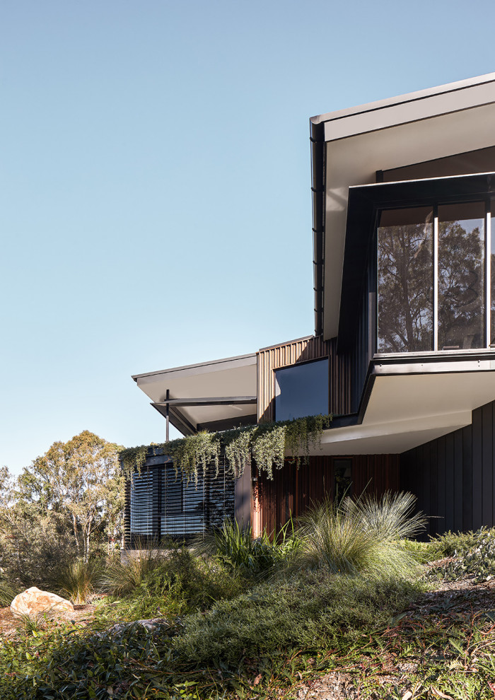 New Nature-Inspired Home Built on a Hill in Brisbane | Houzz AU