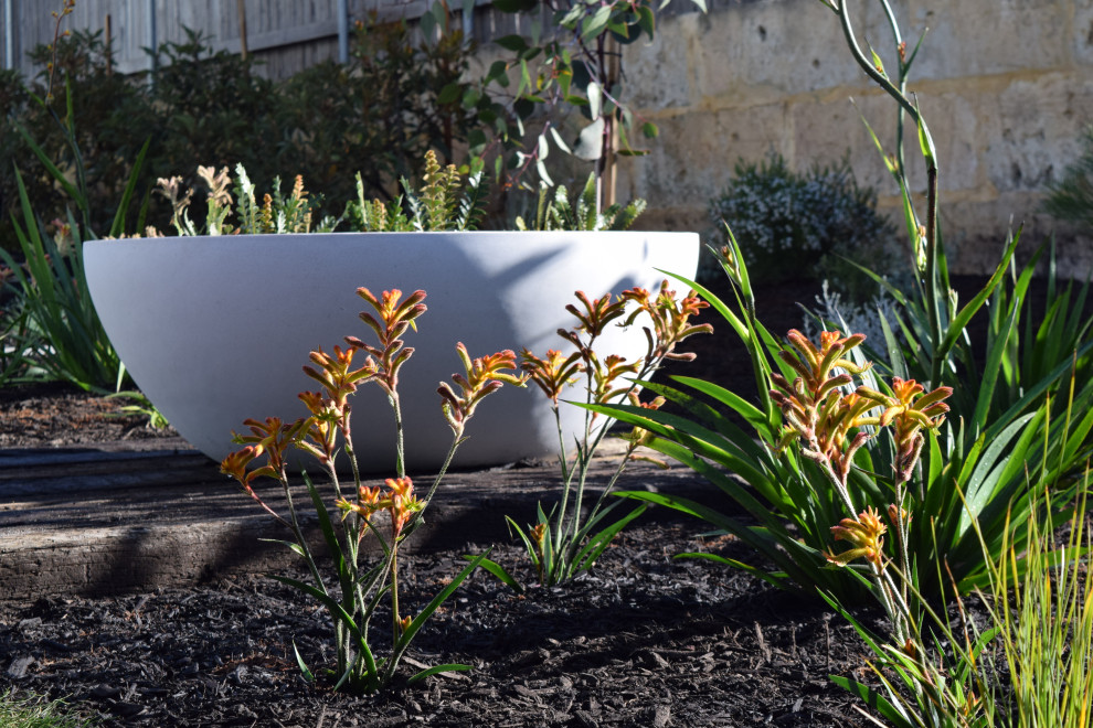 Native Cottage Garden - Beach Style - Garden - Perth - by Nouveau ...