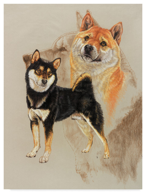"Sheba Inu" by Barbara Keith, Canvas Art, 47"x35" - Contemporary ...