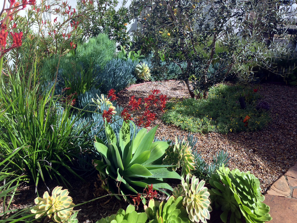 Amazing Coastal Color - Beach Style - Landscape - Orange County - by ...