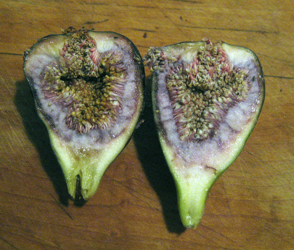 Examples Of Non Edible Fruits