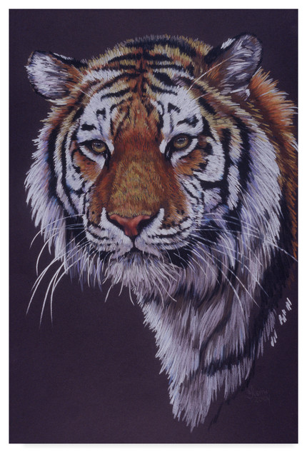 "Desperado" by Barbara Keith, Canvas Art, 30"x47" - Contemporary ...