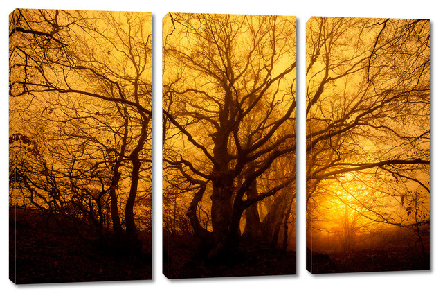Trees In Mist, At Dawn Canvas Print Wall Art, 3 Panel Split, Triptych ...
