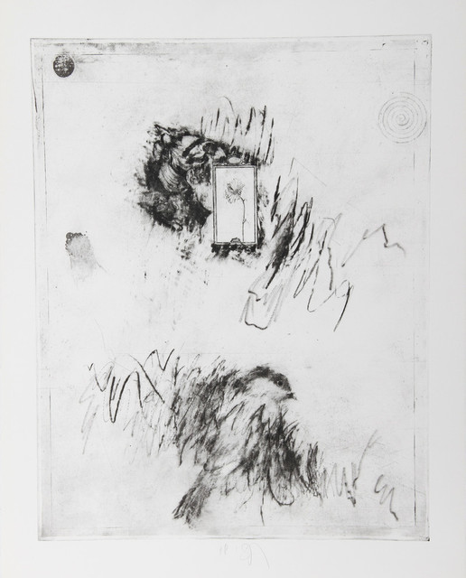 Donald Saff "Flower and Bird" Etching - Contemporary - Fine Art Prints ...