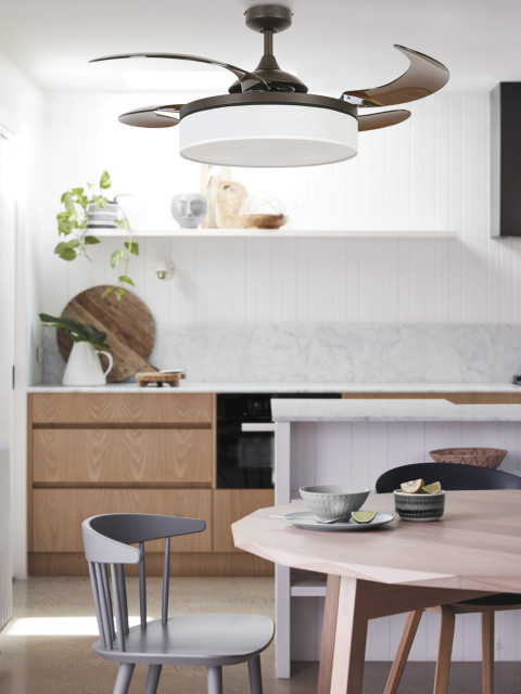 Fanaway Fraser 48" AC Ceiling Fan With Light - Transitional - Ceiling ...