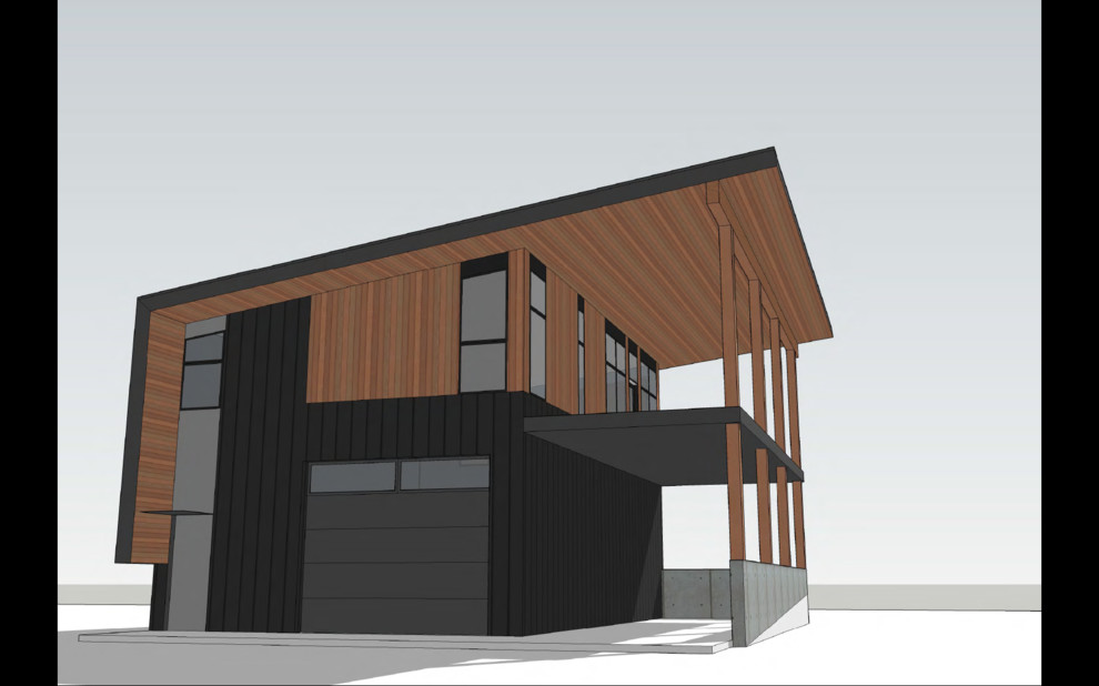 MODERN SHOUSE (shop + house)