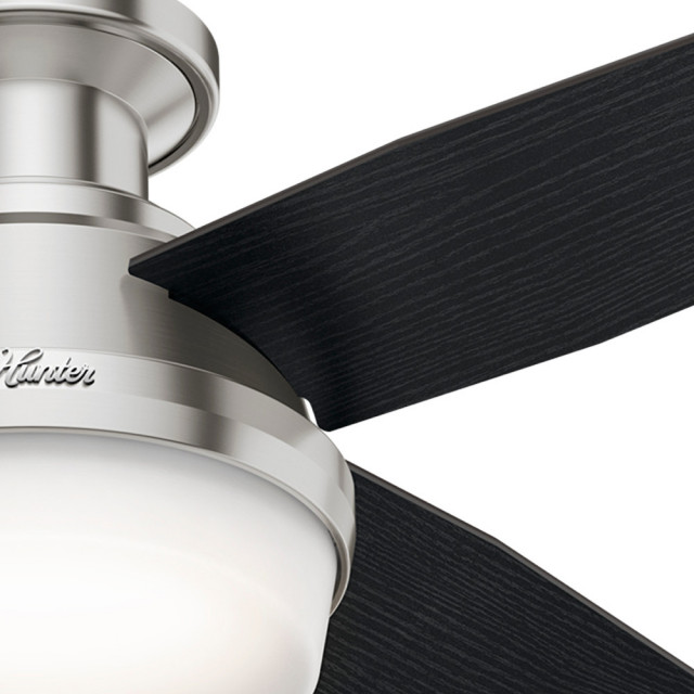 Hunter Fan Company 44" Dempsey Low Profile Ceiling Fan With Light ...