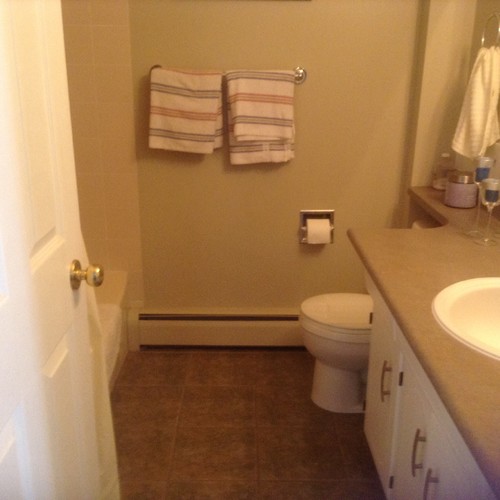 Ugly Universal Design Bathroom