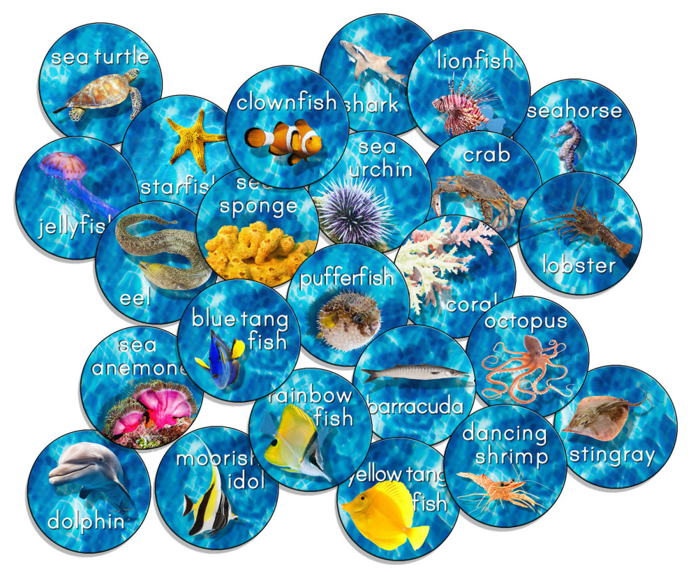 Flagship Carpets VA1002-S24FS 16"X16" Set Of 24 Into The Sea ...