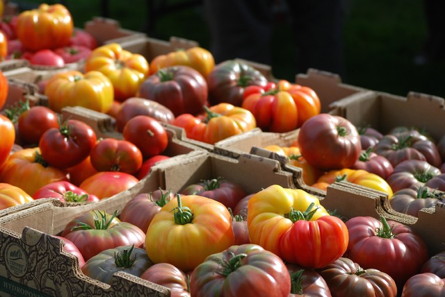New Heirloom Tomato Hybrids Offer the Best of Both Worlds